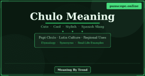 Chulo Meaning – Everything You Need to Know About Chulo - Punscope